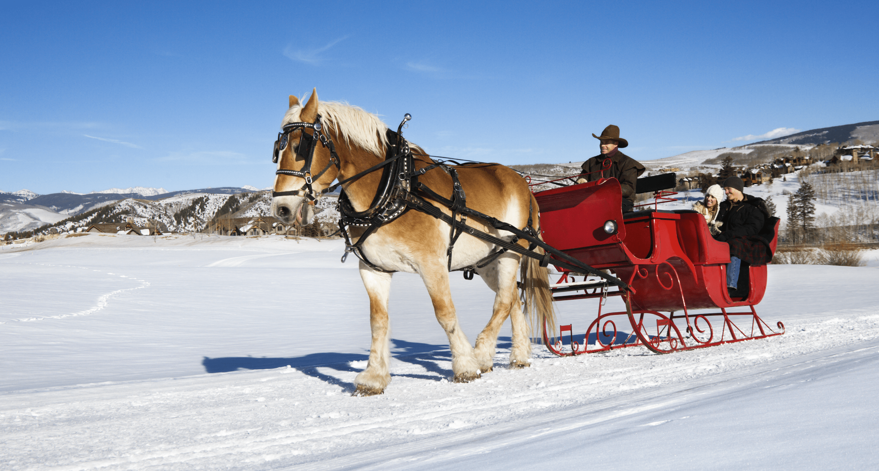 Sugar shacks - Terroir et Saveurs du Québec