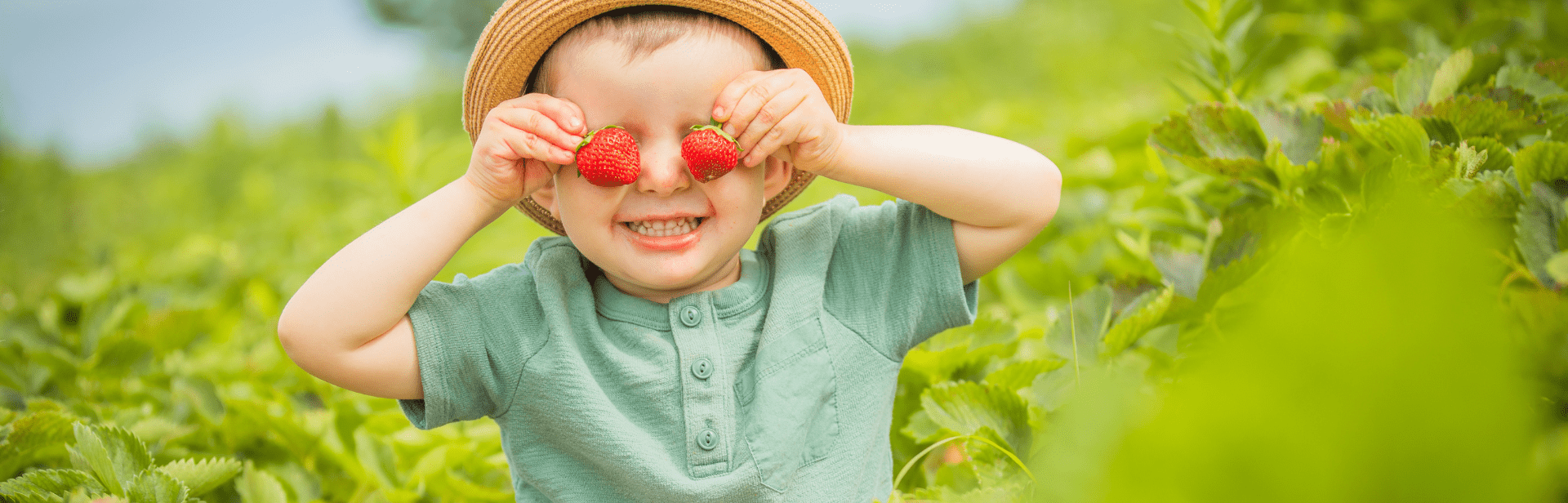Répertoire autocueillette: où cueillir des fruits et des légumes au ...